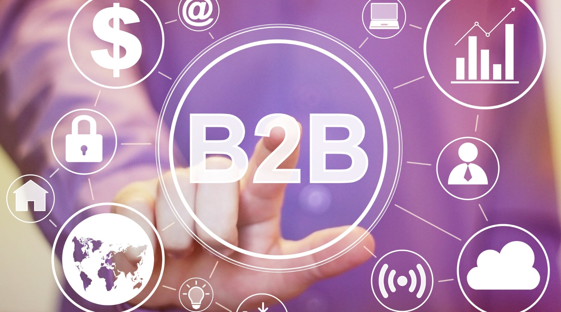8 Steps of Digital B2B Export - Coimex Blog
