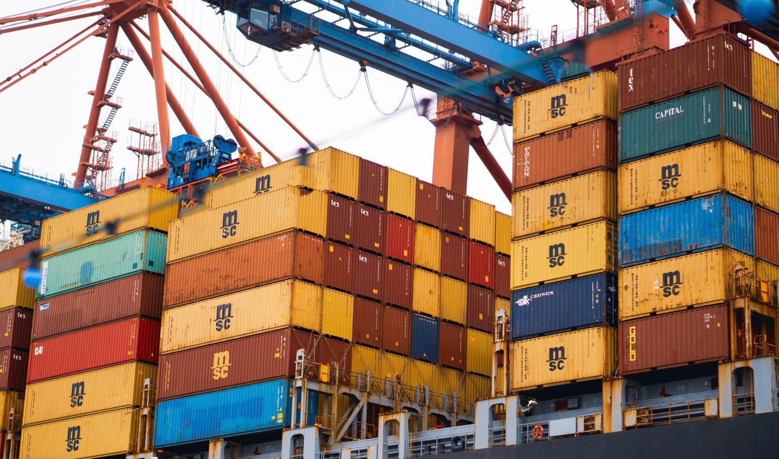 Customs in the Digitalization Process [Interview] | Coimex Blog